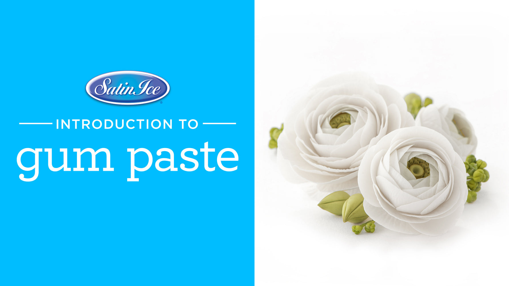 Gum Paste – Satin Ice